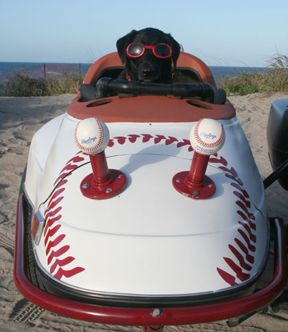 Sidecar Dog Tour 2022